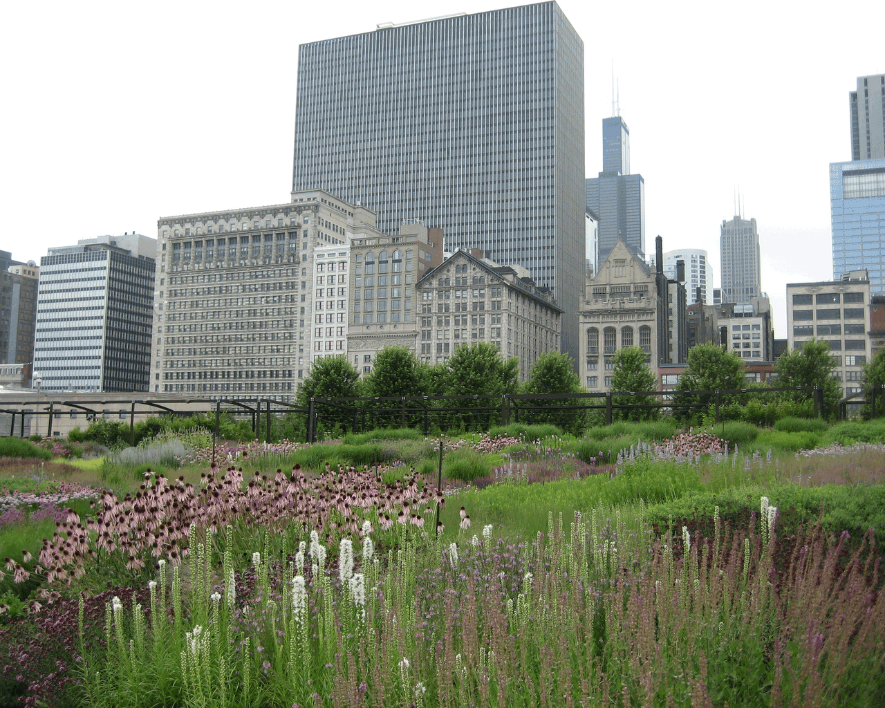 Milpark piet oudolf - Dutch School of Landscape Architecture DSL